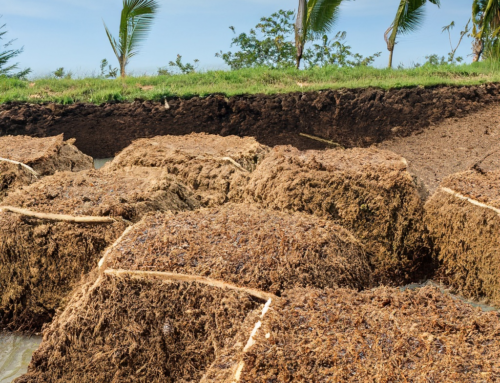 Why Coconut Fiber Insulation is the Eco-Friendly Choice for Your Home