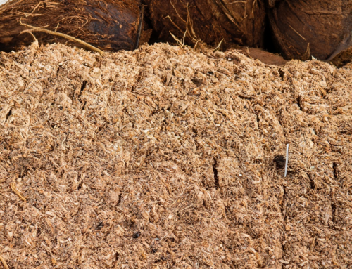 The Benefits of Using Coir Fiber for Filtration: A Sustainable Solution ...